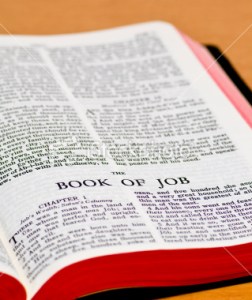 Understanding the Book of Job! An overview of what it is and what it is ...